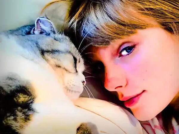 Did Taylor Swift's Cat Meredith Die? Fan Speculation Explained