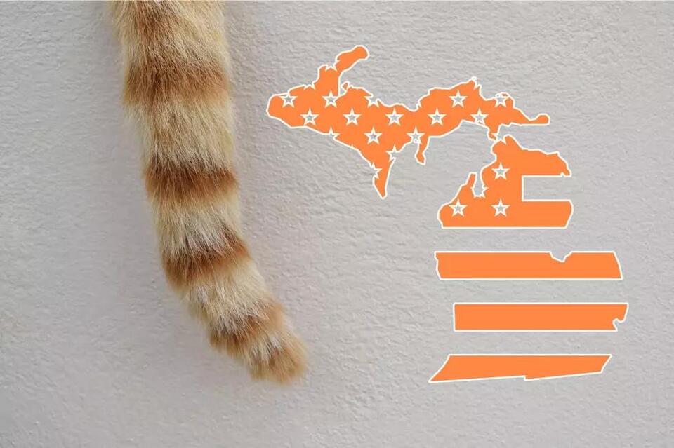 This Adorable Michigan Cat is the Vice President We Deserve - NewsBreak