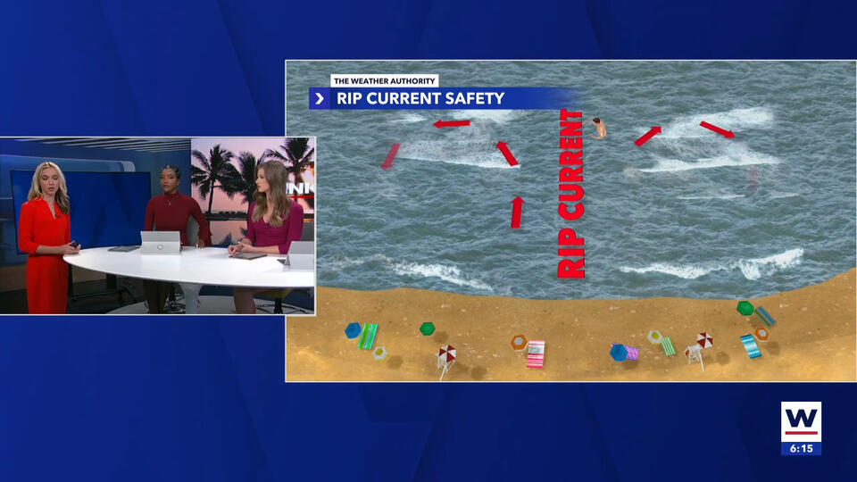 Rip currents take the lives of six individuals across Florida beaches ...