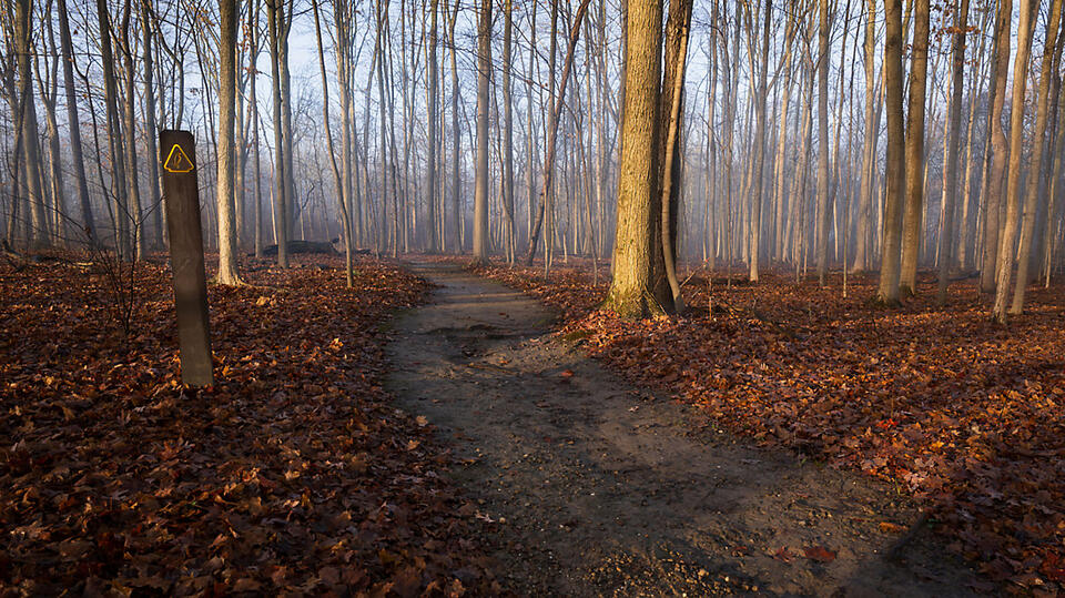 Summit Metro Parks announces temporary trail closure - NewsBreak