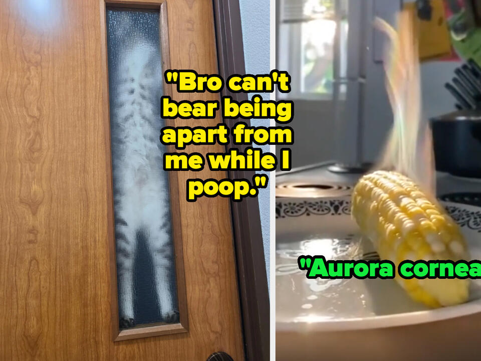 15 Hee Hee Ha Ha Ho Ho Hilarious Photos That'll Make You Laugh Audibly