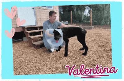 She’s Here! Valentina Has Officially Arrived at Flip’s Farm—See What ...