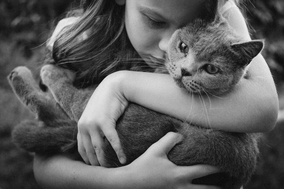 12 Cat Breeds That Form Strong Emotional Bonds With Their Humans ...