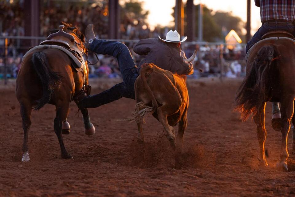 The 2025 Iron County Fair comes to a close - NewsBreak