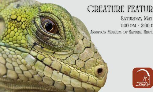 Discover the Wonders of Wildlife at Anniston Museums and Gardens ...