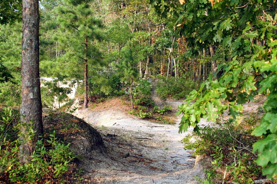 Police investigating assault at EHT Nature Reserve - NewsBreak