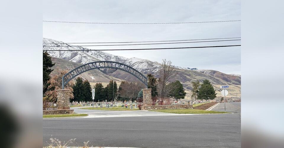 Brigham City citizens riled by removal of lilac bushes at cemetery ...