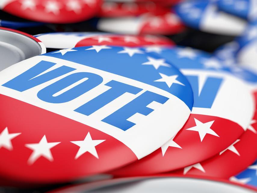 Early voting starts Friday for Minnesota's primary elections; here's ...