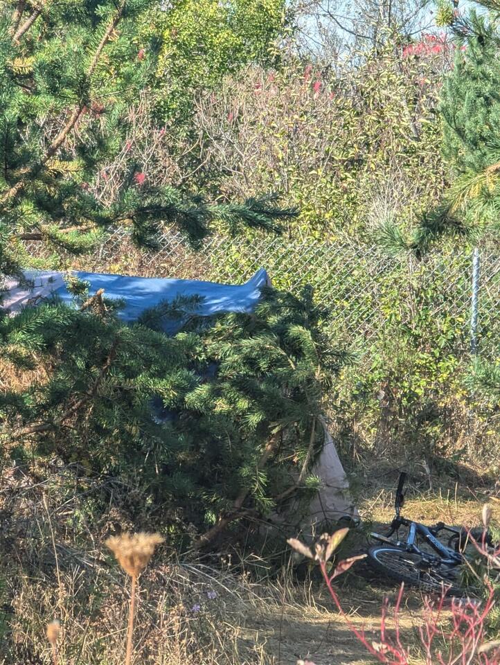 Homeless camps near lakeshore worry residents - NewsBreak