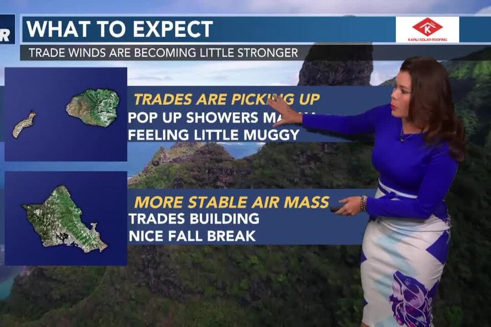 FIRST ALERT: Tracking big waves on this Aloha Monday and building trades - NewsBreak
