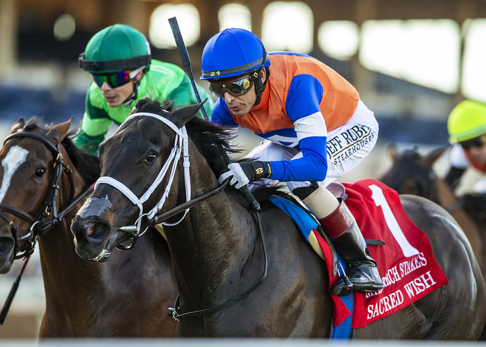 Longshot Sacred Wish Takes Matriarch as Del Mar Fall Season Comes to a ...