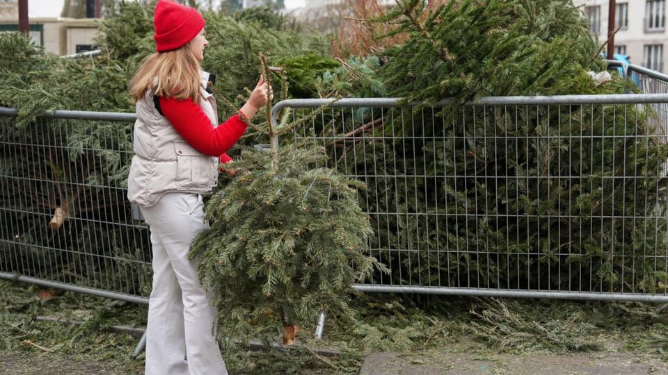 4 Ways to Give the Christmas Tree a Second Life - NewsBreak