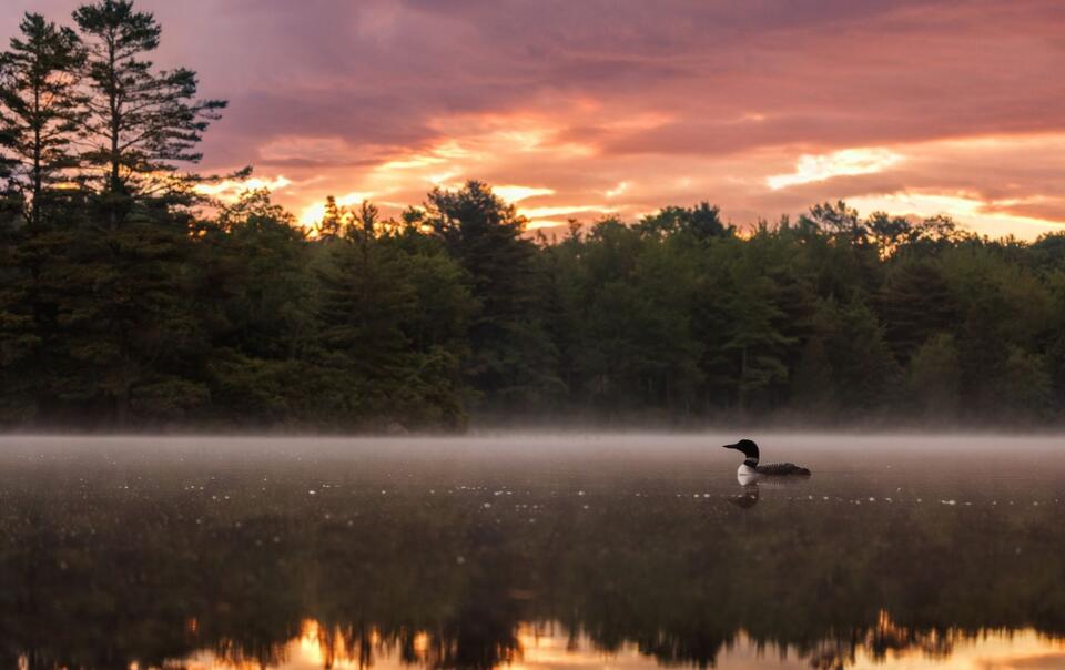 Maine Makes the Cut as One of the Most Beautiful States in the US ...