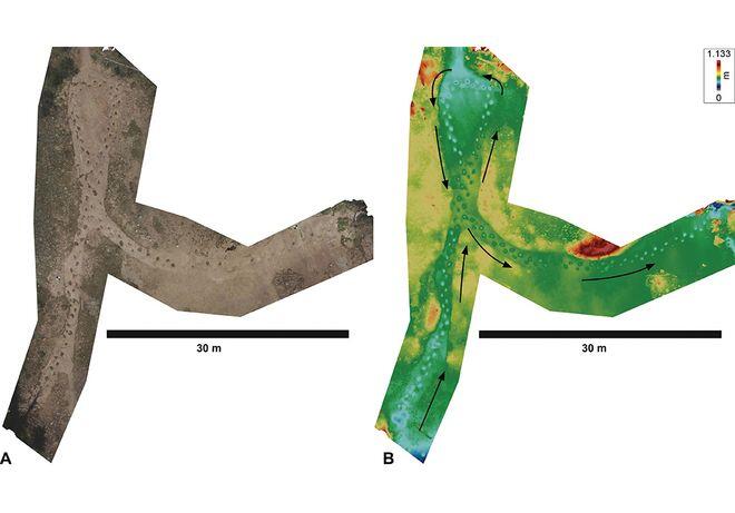 Footprints From Around 150 Million Years Ago Reveal the Strange Stomp ...