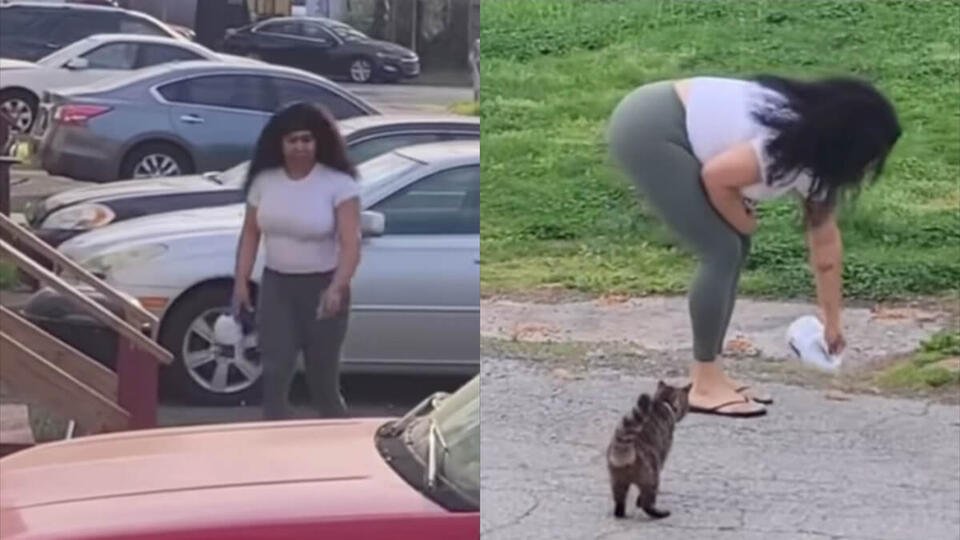‘This is beyond disgusting’: Pennsylvania Woman Sparks Outrage After ...