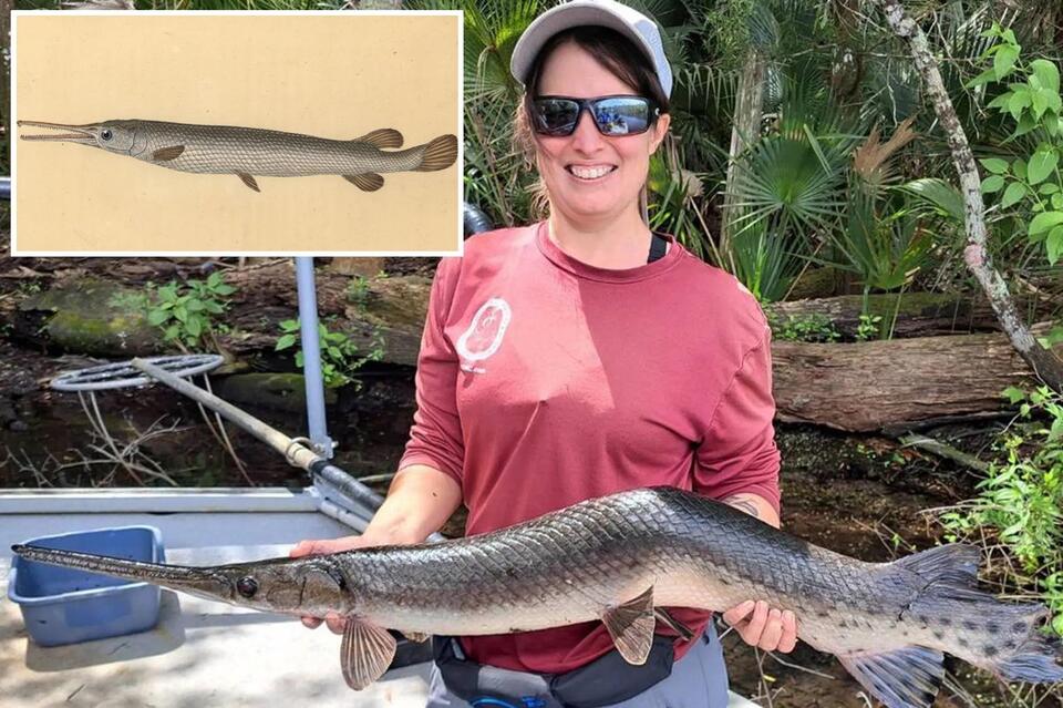 Biologists surprised by ‘interesting’ crooked fish caught in Florida ...