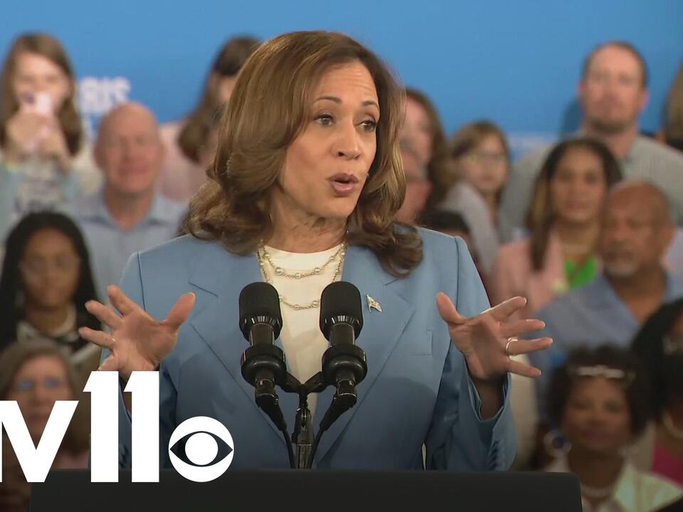 Kamala Harris unveils anticipated economic plan | 2024 elections