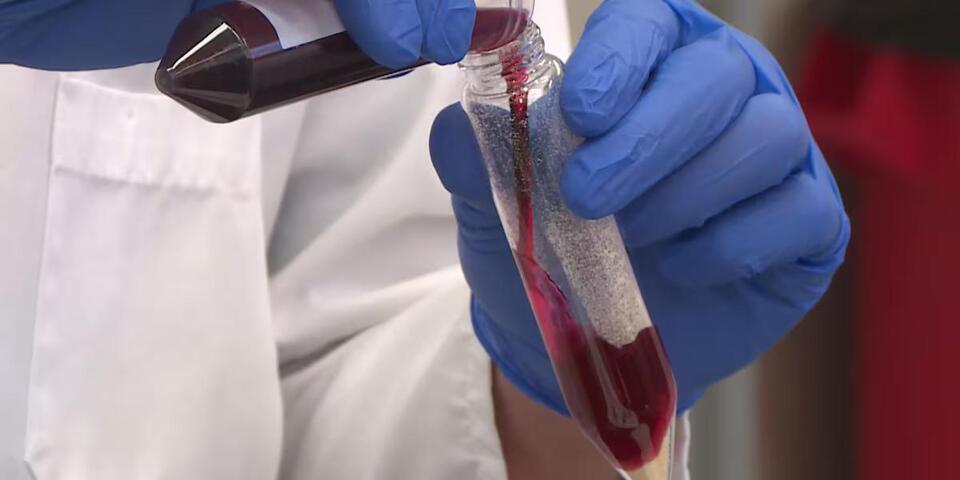 Wisconsin researchers develop natural food dye alternatives as ...