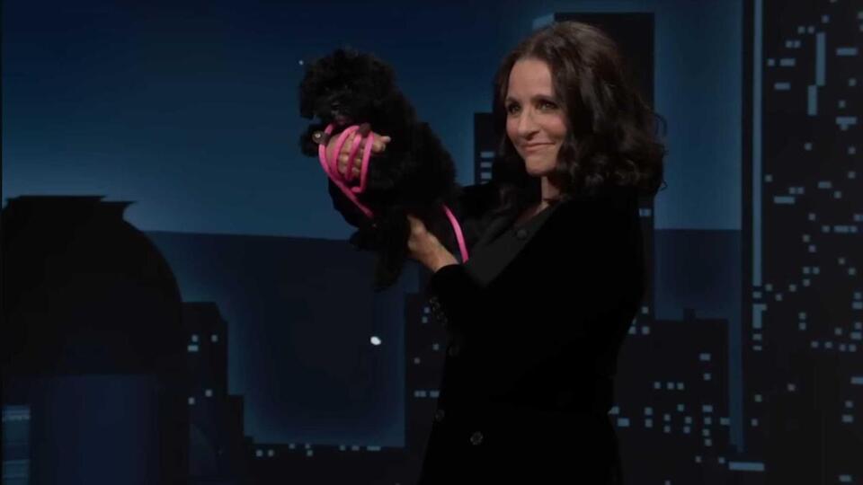 Julia Louis-Dreyfus Shows Up With Dog on ‘Jimmy Kimmel Live’ to Make a ...