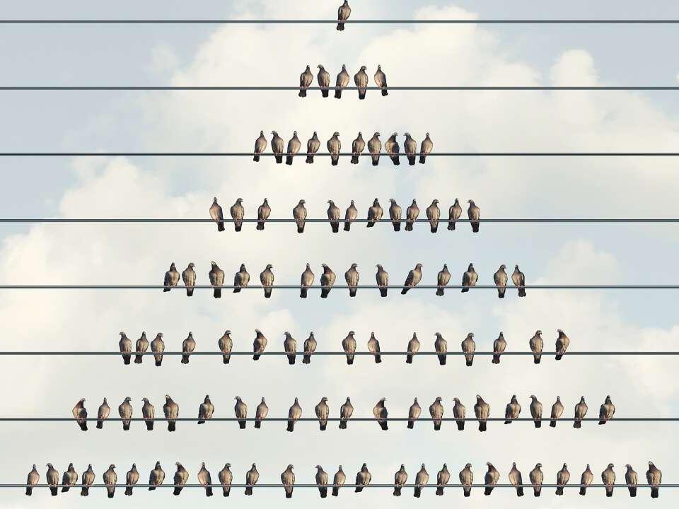 SEC Charges NovaTech Promoters in Alleged $650M Crypto Ponzi Scheme