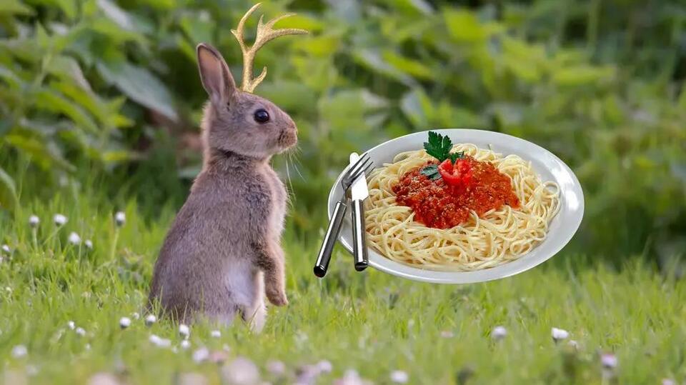 Missouri’s Best Family-Run Restaurant is Rabbits with Antlers? - NewsBreak