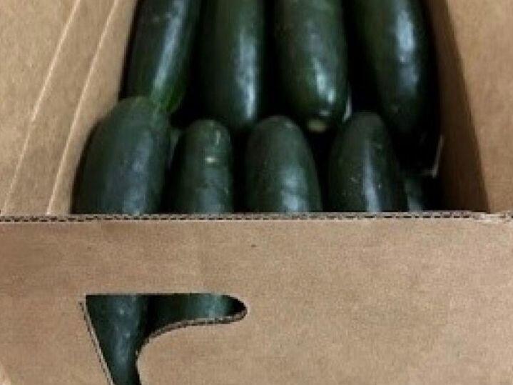 FDA issues recall notice for cucumbers over salmonella contamination fears