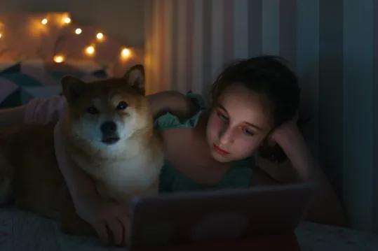 Sad Dog Movies That Make You Cry but Are Worth Watching - NewsBreak