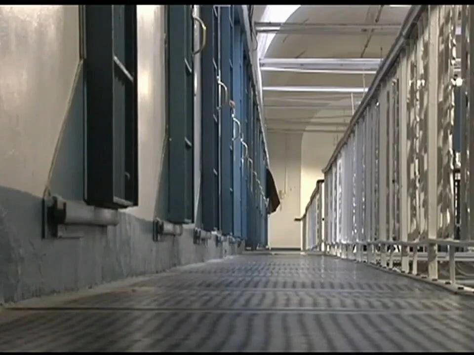 A closer look at the Pardon Project: A way to help clear non-violent ...