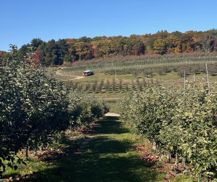 Penn State study finds melanoma ‘hotspot’ in central Pa. counties with ...