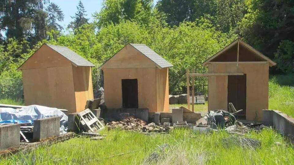Oregon State research team pursuing “burn to learn” - NewsBreak