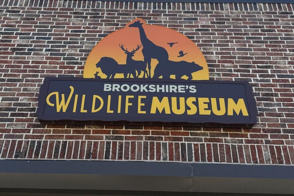 Step Inside Tyler’s New Wildlife Museum Experience - NewsBreak