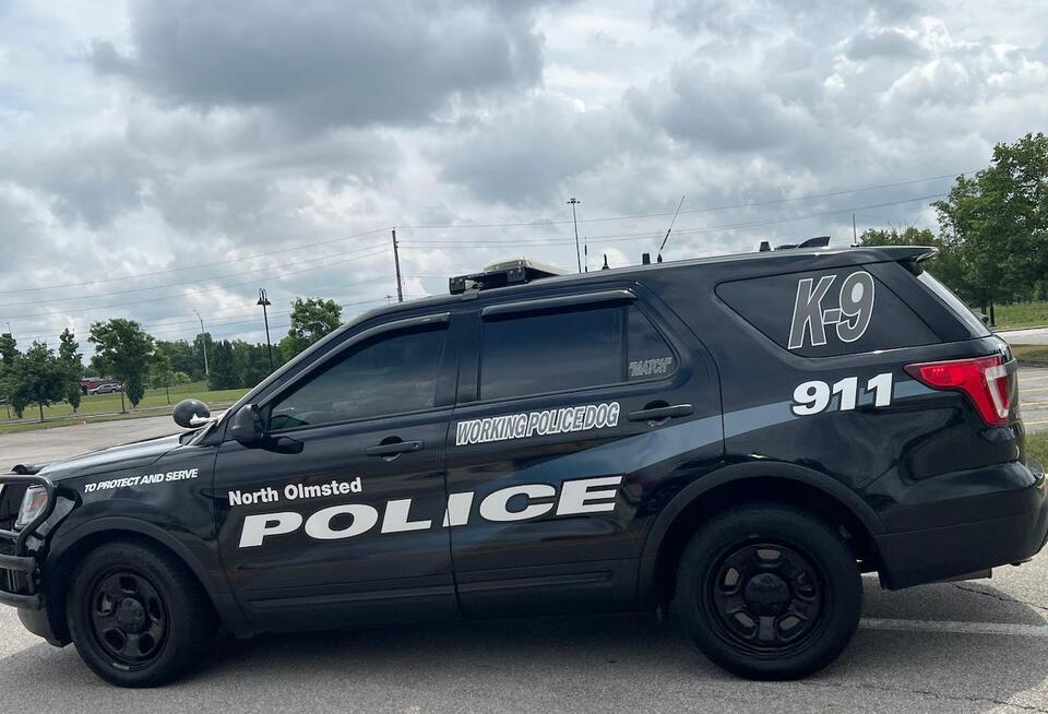 ‘Piggyback Bandit’ sows chaos in Northeast Ohio, prompting police ...