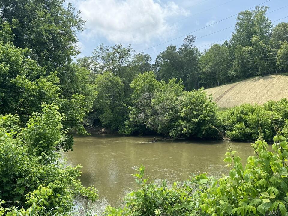 Concept Plan Approved for Etowah River Pedestrian Bridge