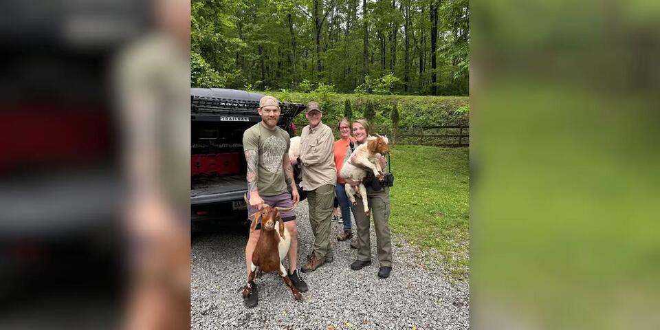 Community helps sheriff’s office round up ‘goat gang’ in Gilmer County ...