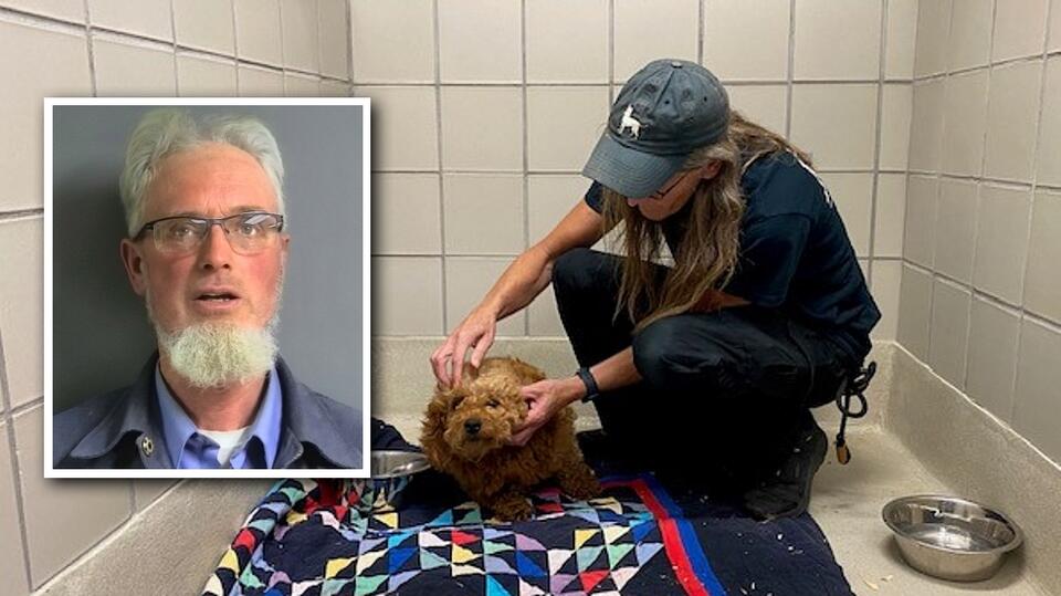 Iowa dog breeder blames ‘brainless’ women for criminal charges - NewsBreak