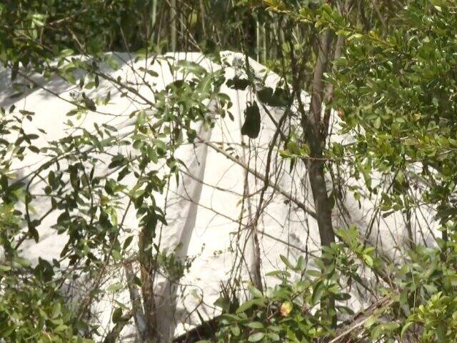 Homeless camp near community prompts safety concerns - NewsBreak