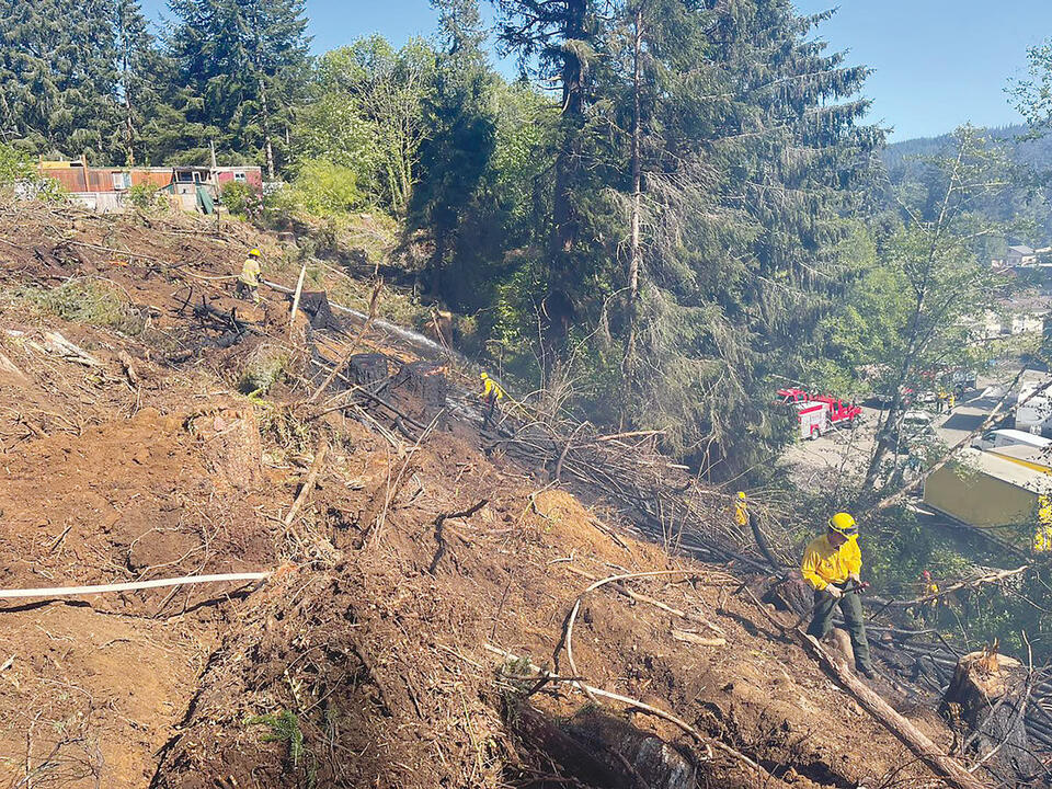 A close look at the 2024 wildfire season