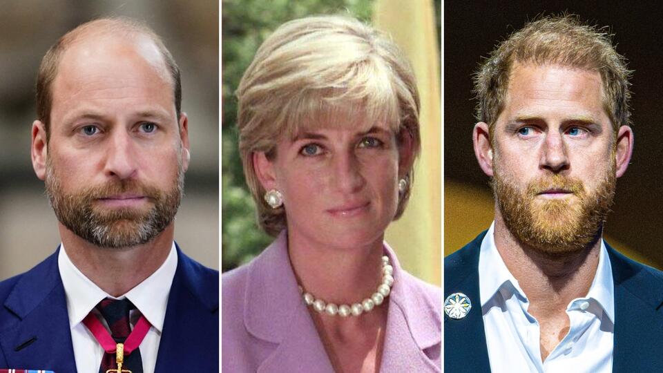Prince William Sickened By Prince Harry’s Plan to Work on Princess ...