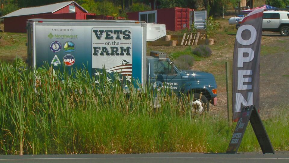 Nonprofit helps veterans transition into civilian life after service ...