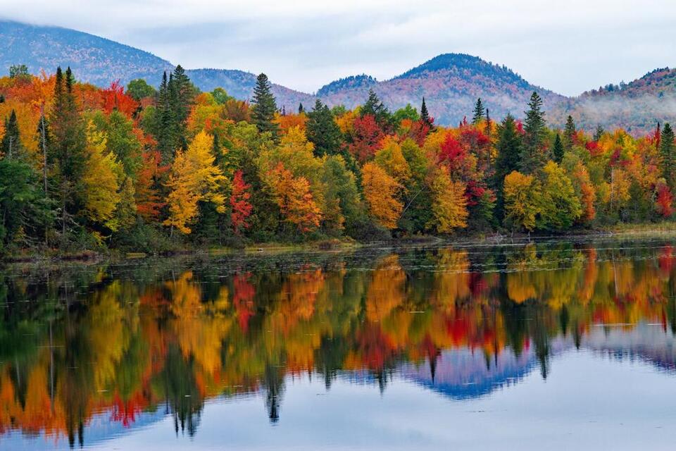 How Is Climate Change Impacting Fall Foliage? - NewsBreak