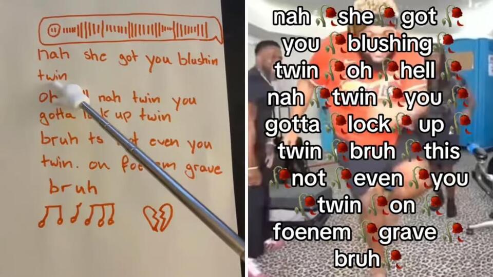 TikTok’s viral ‘Nah she got you blushing twin’ meme explained - NewsBreak