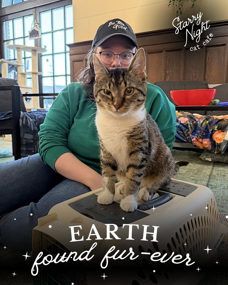 Cat adoption completed at Starry Night Cat Cafe - NewsBreak