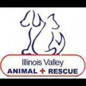 IVAR Pet Shelter dealing with dog PARVO case - NewsBreak