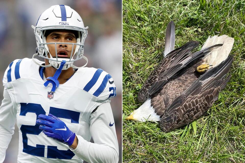 NFL safety Rodney Thomas’ father arrested for fatally shooting bald ...