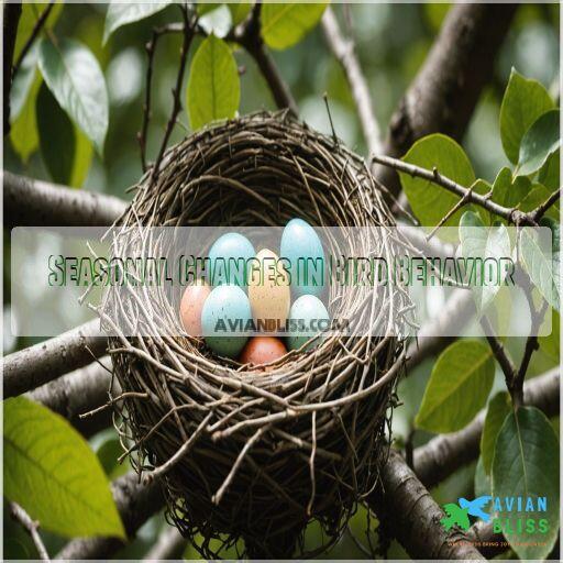 Bird Behavior: Seasonal Changes & Migration Secrets (2024) - NewsBreak