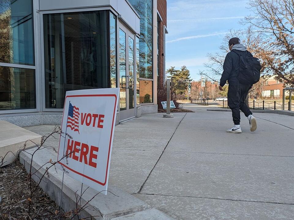 Michigan elections 2024: What’s new in state voting process?
