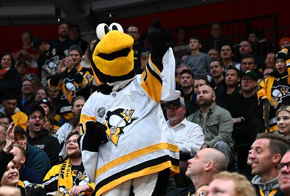 Female Penguins fan throws punches, middle fingers during Islanders ...