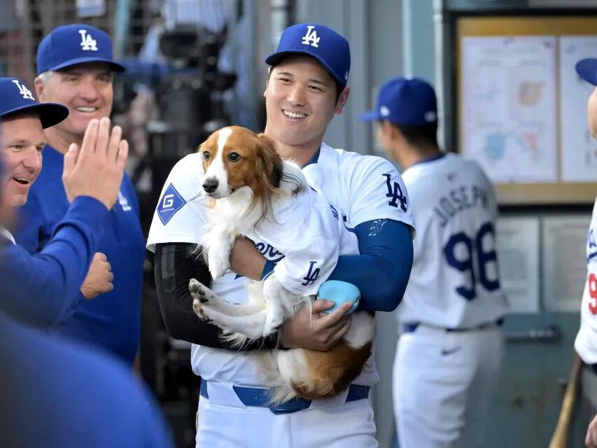 Shohei Ohtani melts MLB fans’ hearts with ‘adorable’ first pitch involving his dog Decoy at Los ...