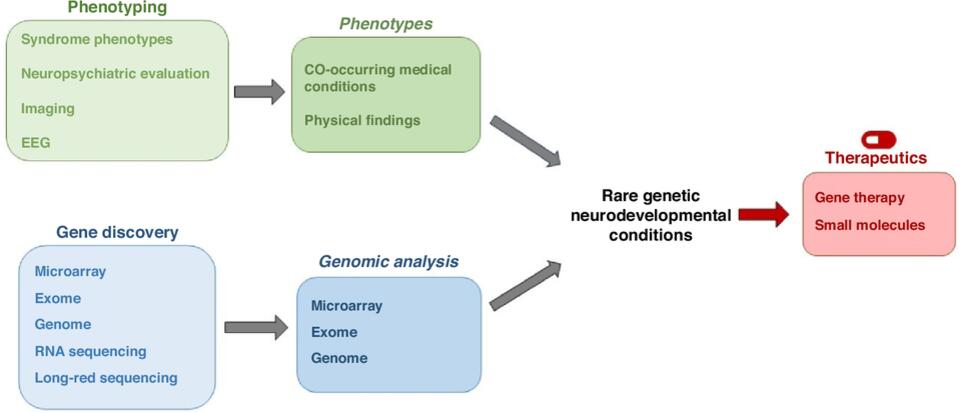 Precision diagnostic and therapeutic interventions in rare genetic ...