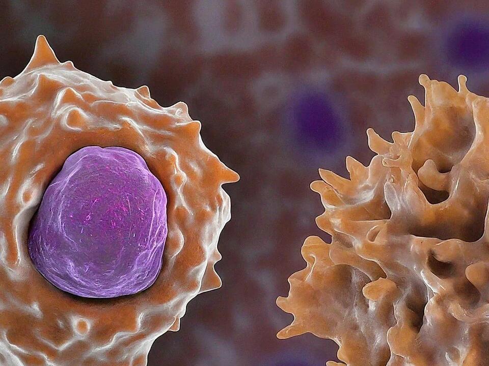 Fda Approves Ready To Use Subcutaneous Bortezomib Formulation